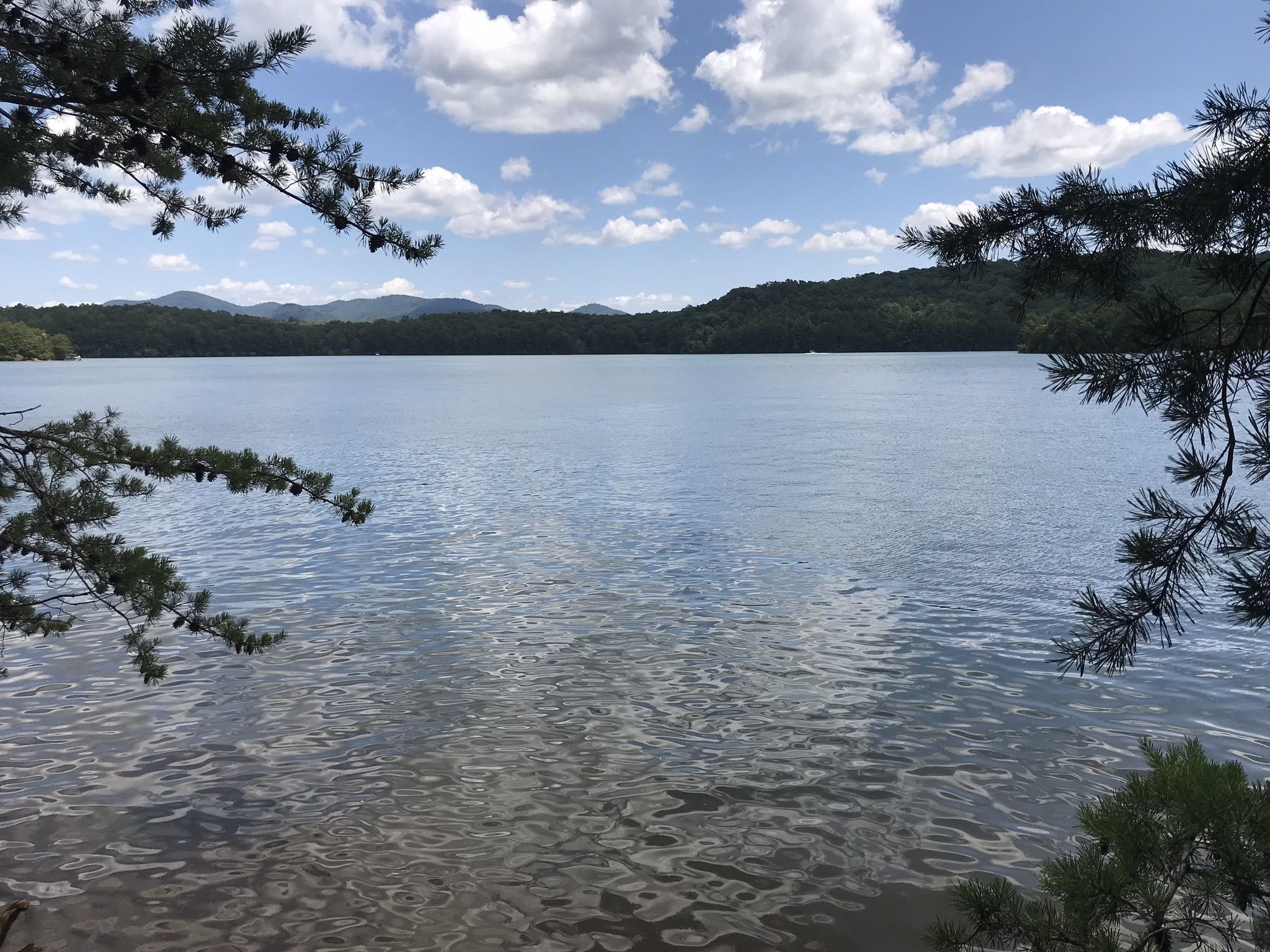 Hiking Blue Ridge – Escape to Blue Ridge Blog | North Georgia Cabin Rentals